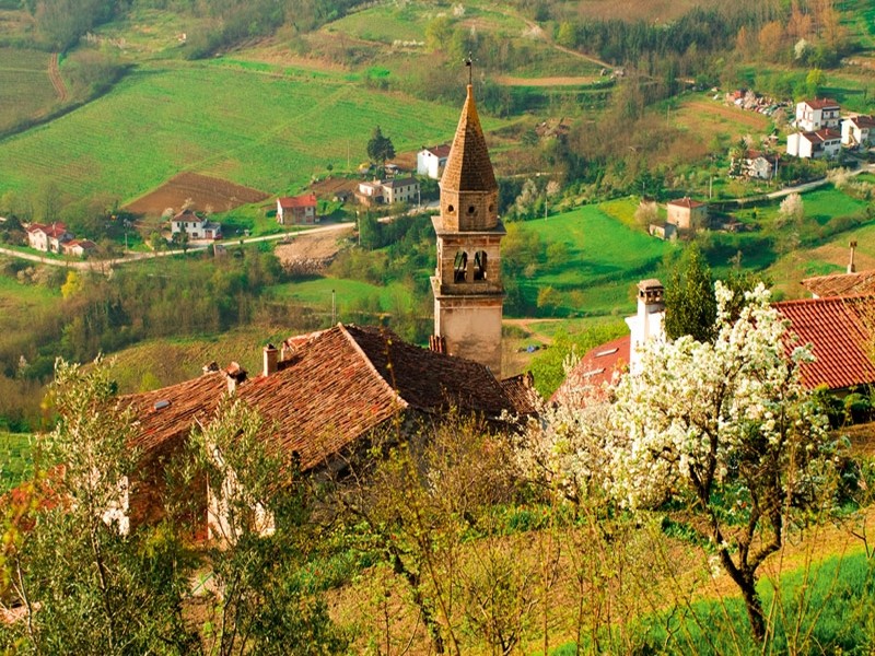 Istra Gourmet | Via Mea Reisen